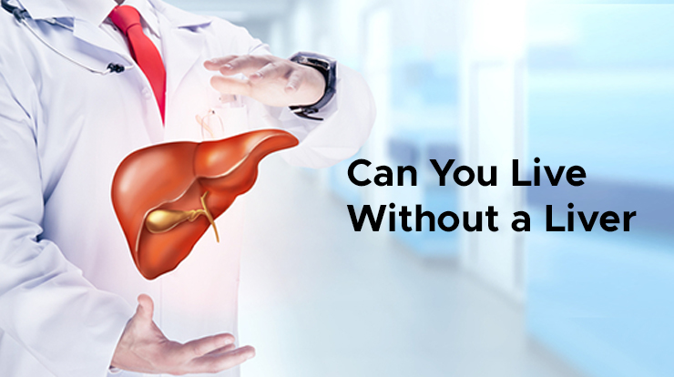 Can A Person Live Without A Liver And Partial Liver Removal